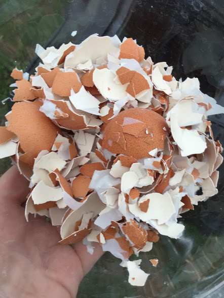 Compost: Beginner Level – Crunchability